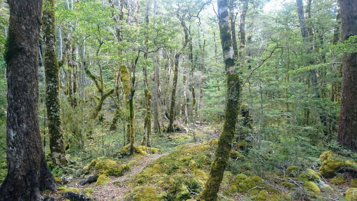 Richmond Alpine Track – Eating Snow Around the World